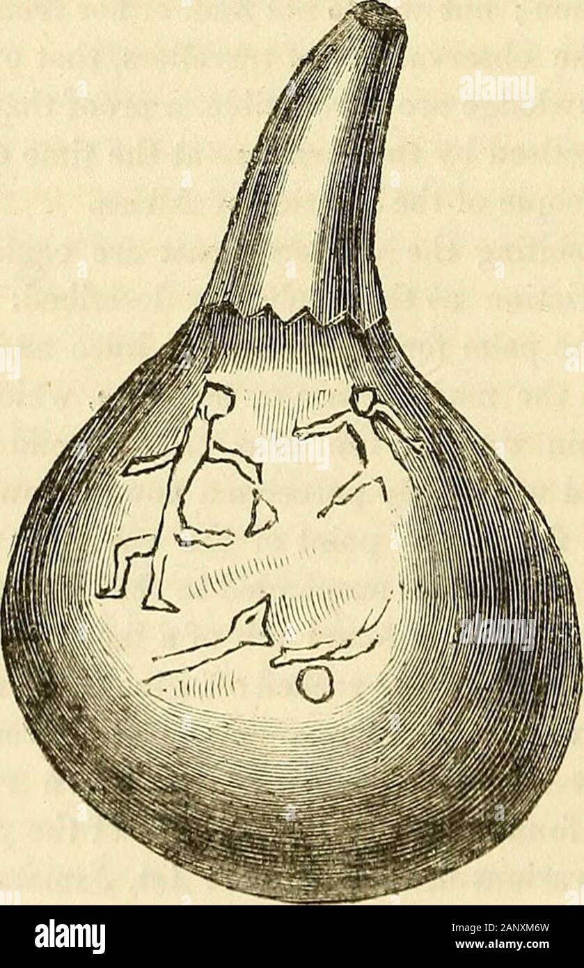 Distillation ancient Banque de photographies et d’images à haute ...