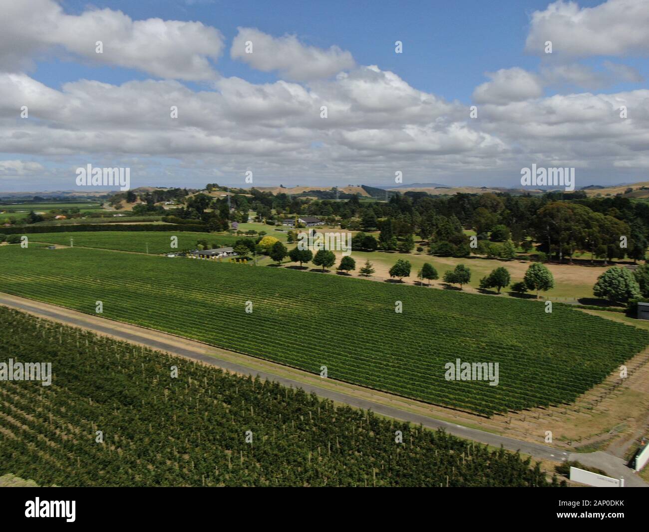 Napier, Île du Nord / Nouvelle-Zélande - 29 décembre 2019: Napier, La ...