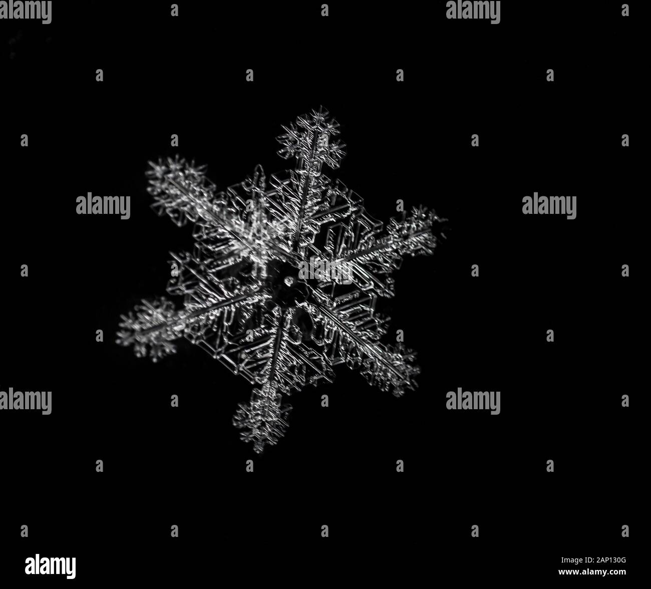 Snow crystal Banque de photographies et d’images à haute résolution - Alamy