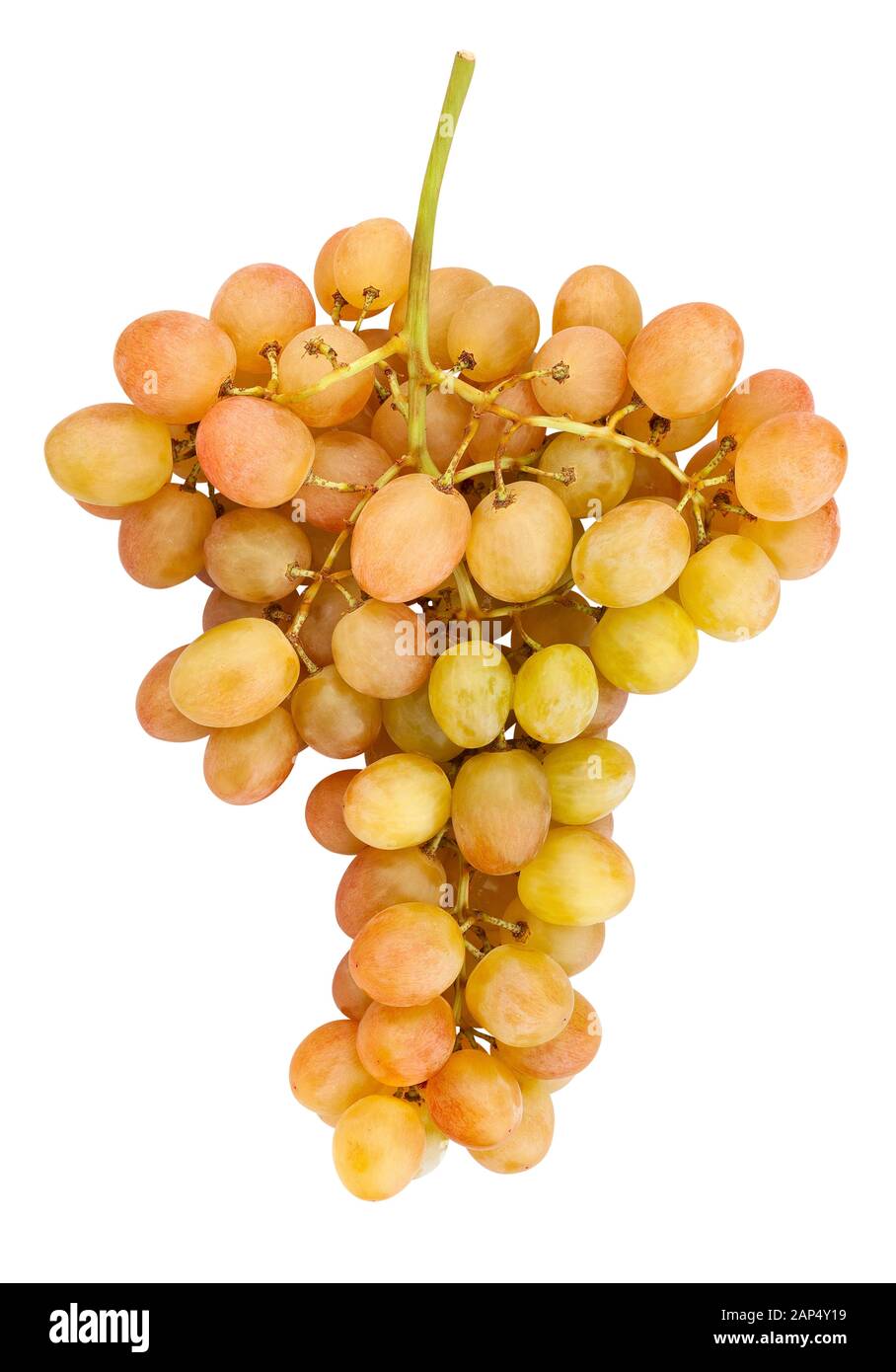 Raisin rose Banque de photographies et d’images à haute résolution - Alamy