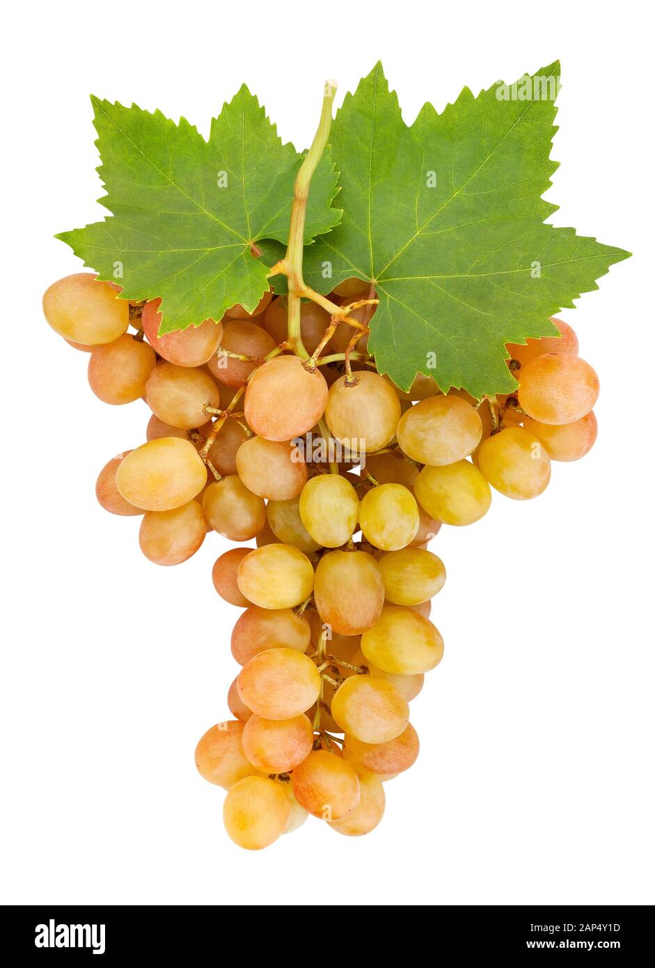 Raisin rose Banque de photographies et d’images à haute résolution - Alamy