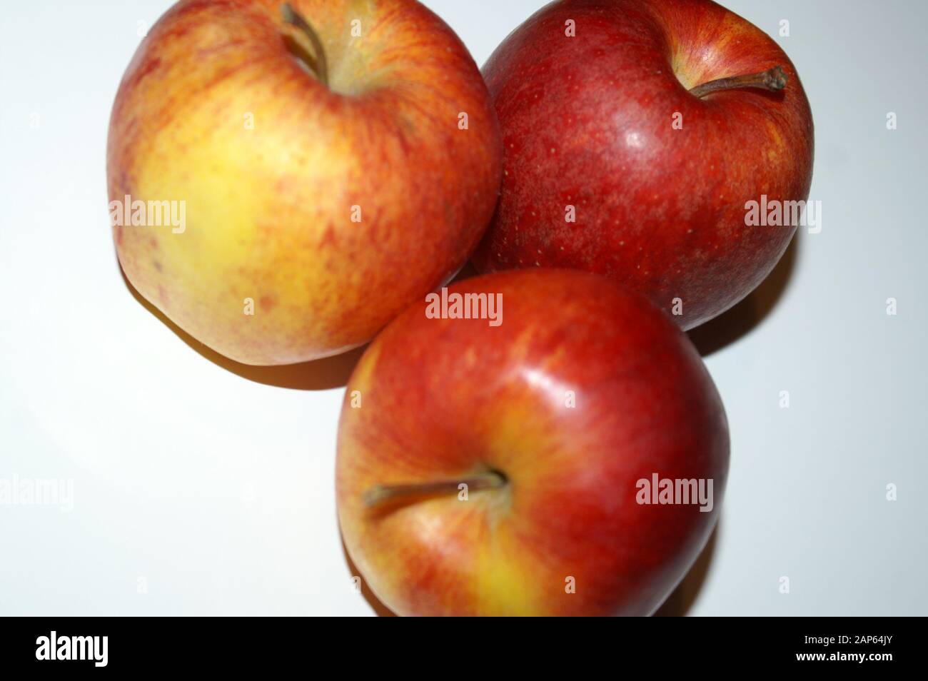 Pommier aux fruits Banque de photographies et d’images à haute ...