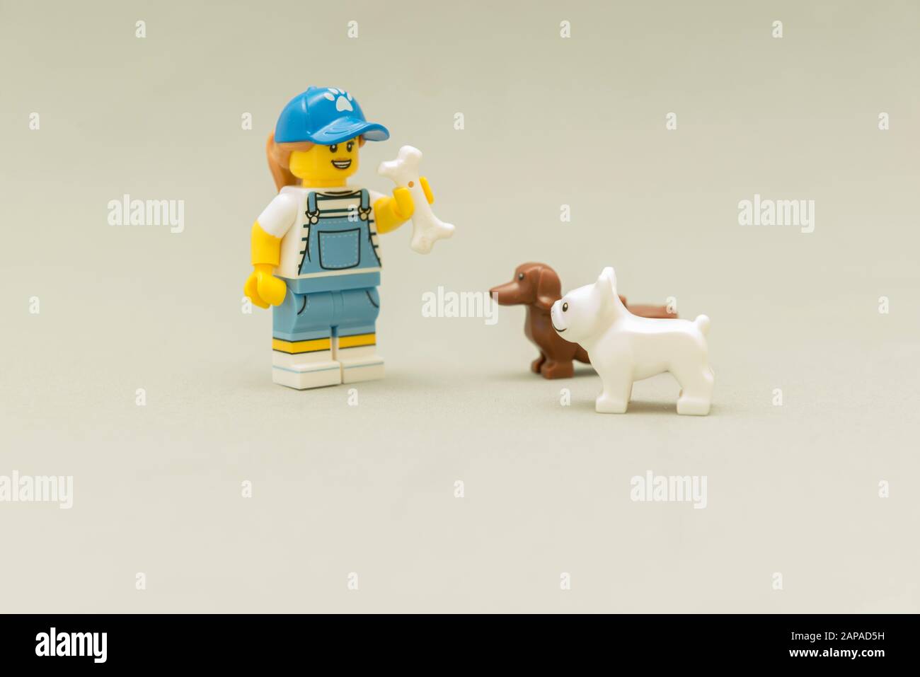 Lego chien Banque de photographies et d’images à haute résolution - Alamy