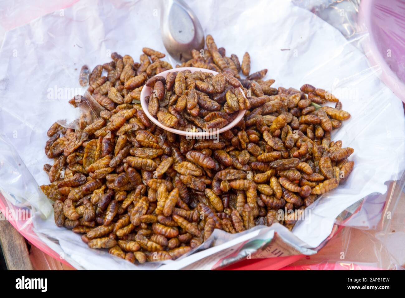 Insectes dans les aliments Banque de photographies et d’images à haute ...