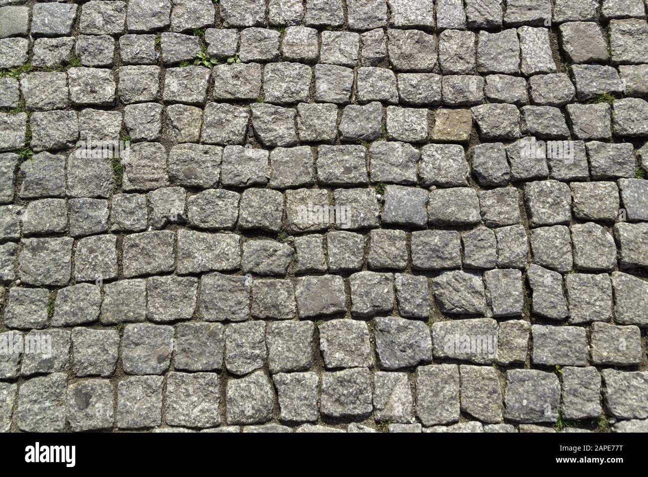 Gros plan d'une route pavée sous la lumière du soleil - a belle photo ...