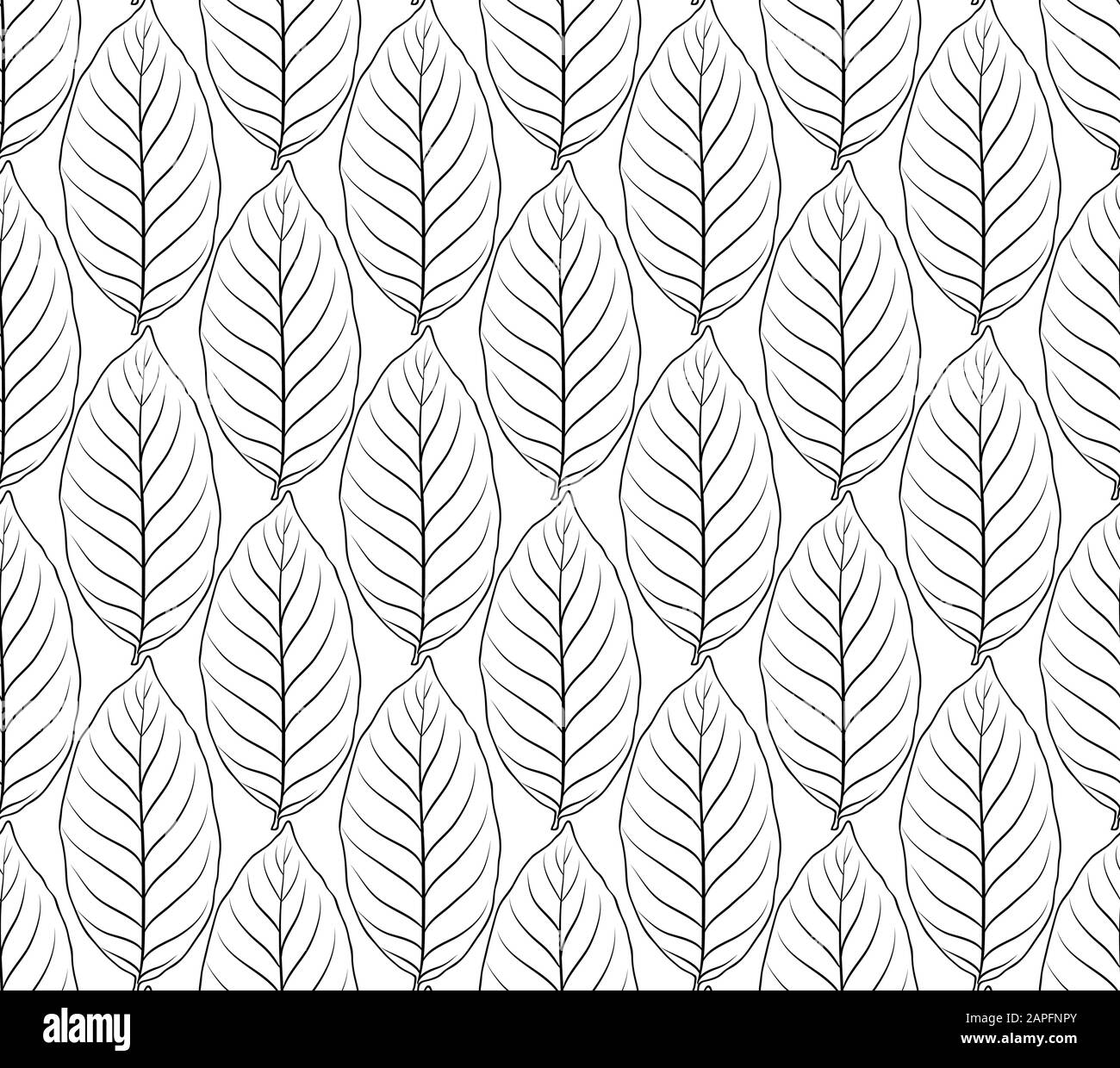 Motif floral coloriage Banque d'images noir et blanc - Alamy