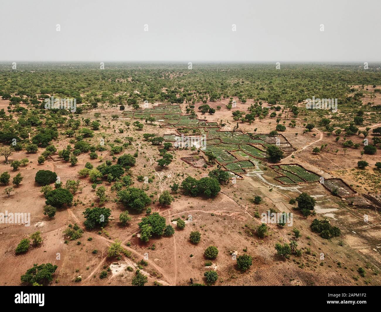 Arid zone Banque de photographies et d’images à haute résolution - Alamy