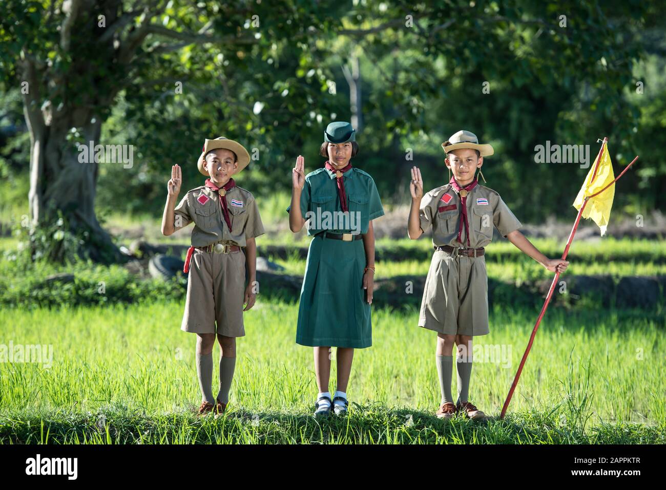 La promesse scoute Banque de photographies et d’images à haute ...