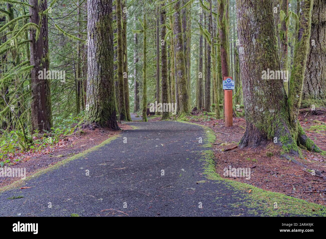 Sentier streamwatch en cascade Banque de photographies et d’images à ...