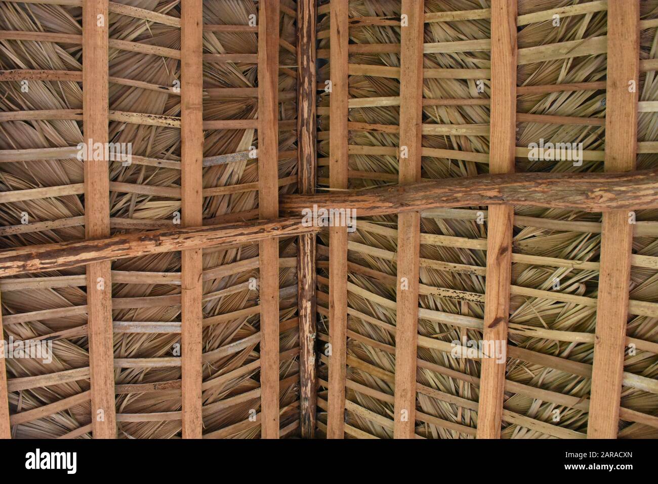 Palenque de los cimarrones Banque de photographies et d’images à haute ...