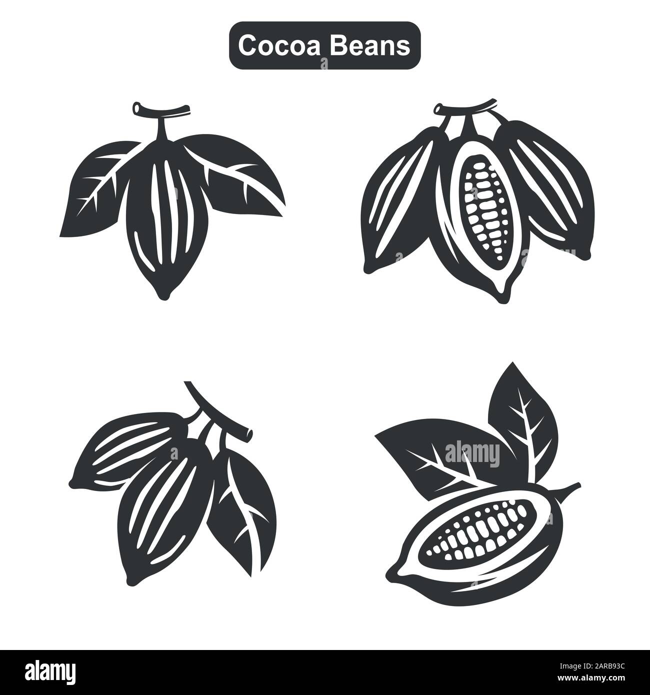 Cocao beans Banque d'images vectorielles - Alamy