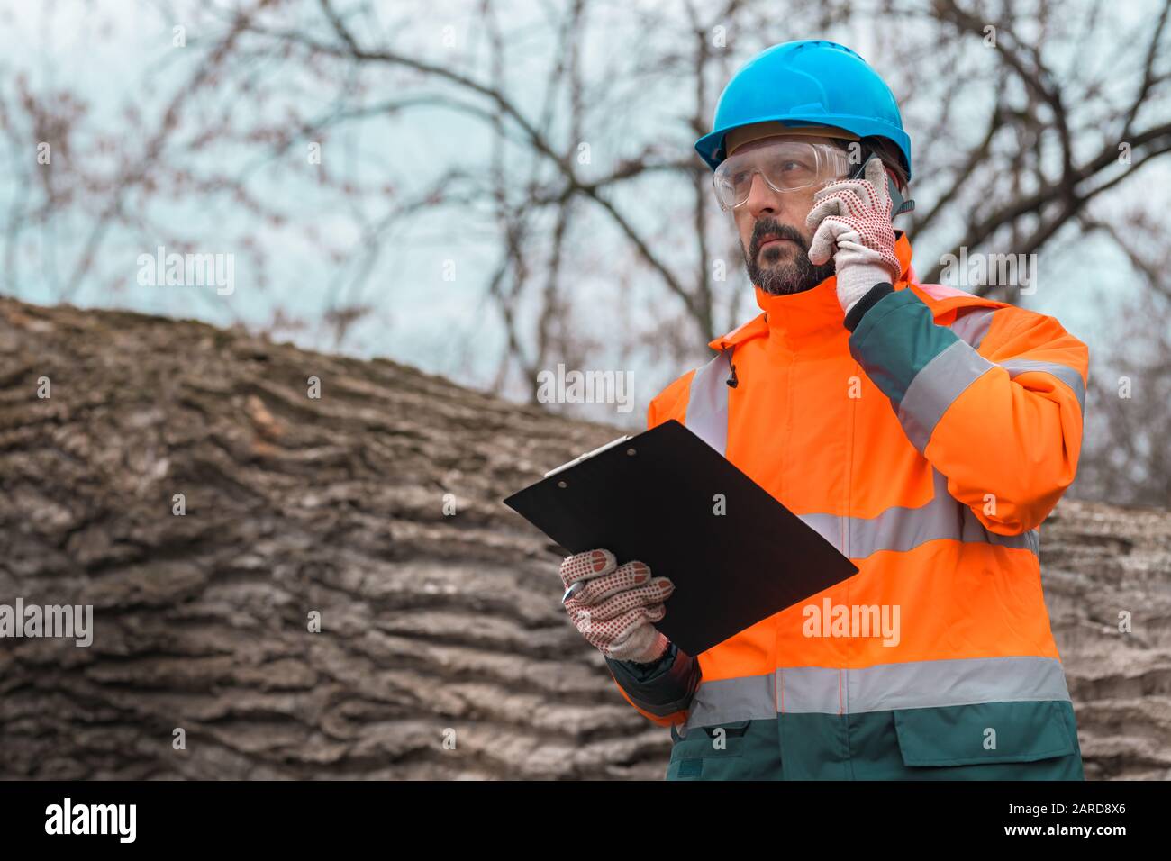 Technicien forestier parlant sur le téléphone mobile en forêt pendant ...