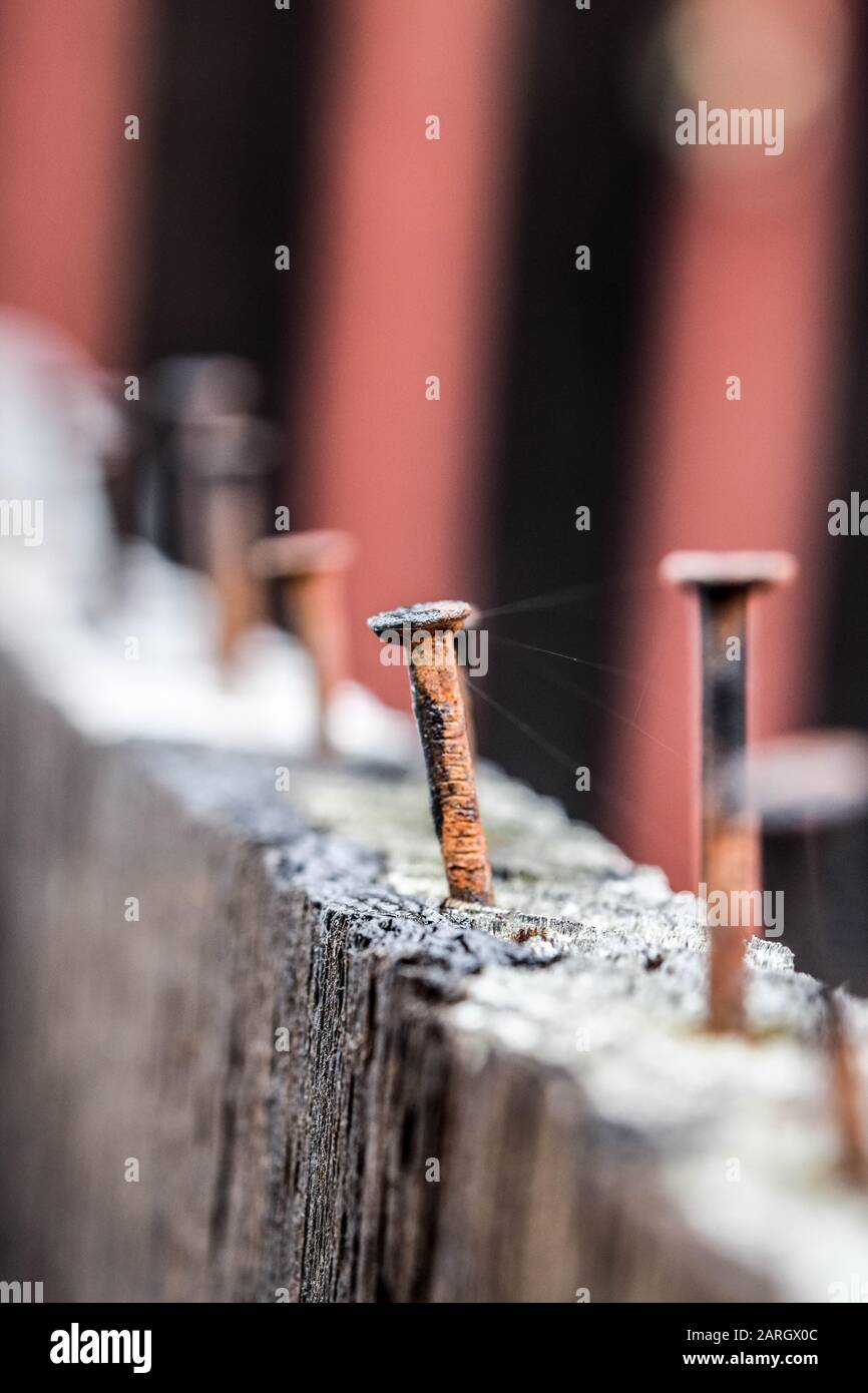 Clou en acier Banque de photographies et d’images à haute résolution ...