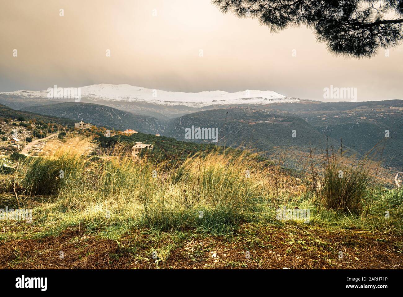 Liban paysage Banque de photographies et d’images à haute résolution ...