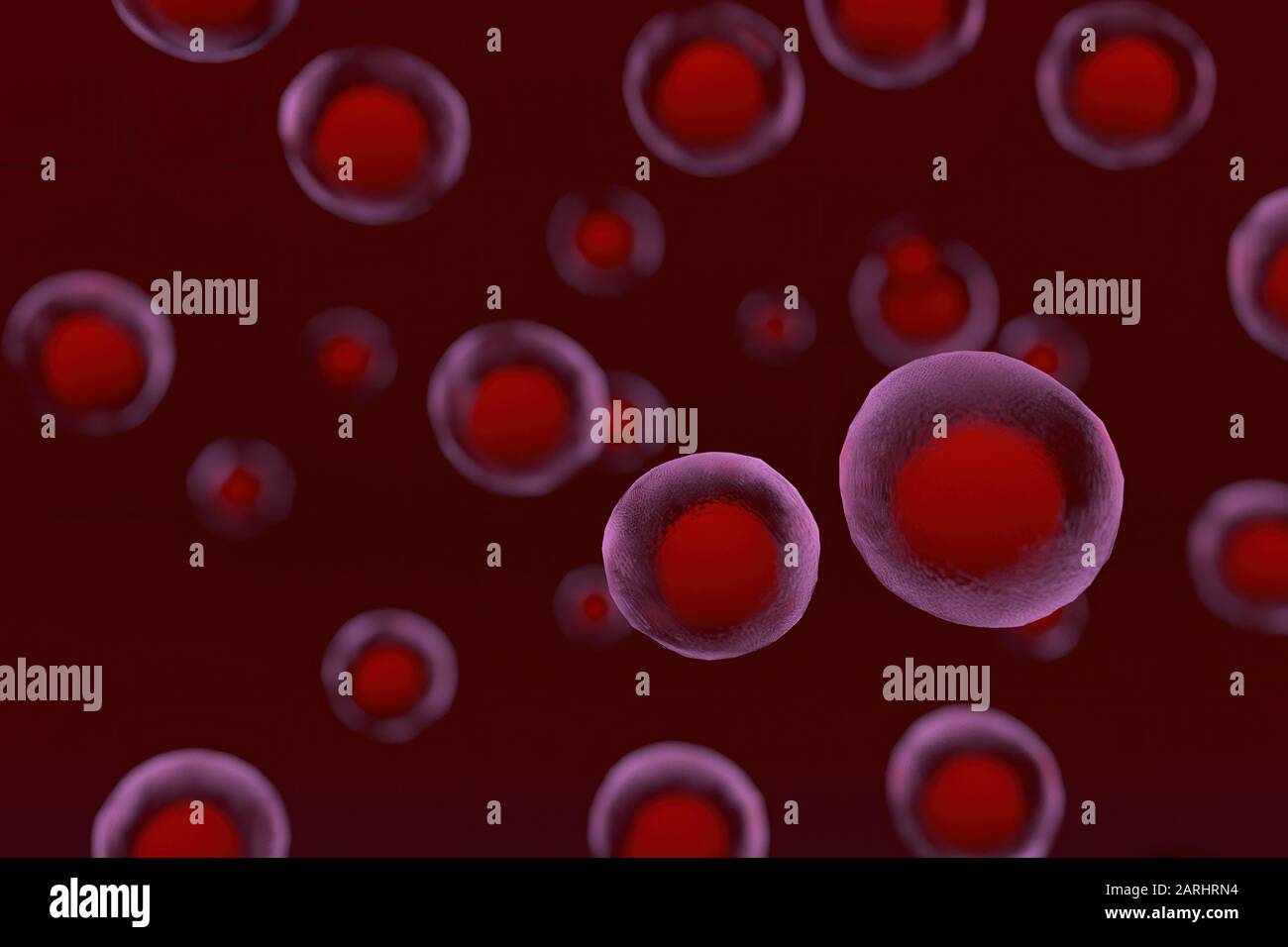 Goutte de sang microscope Banque de photographies et d’images à haute ...