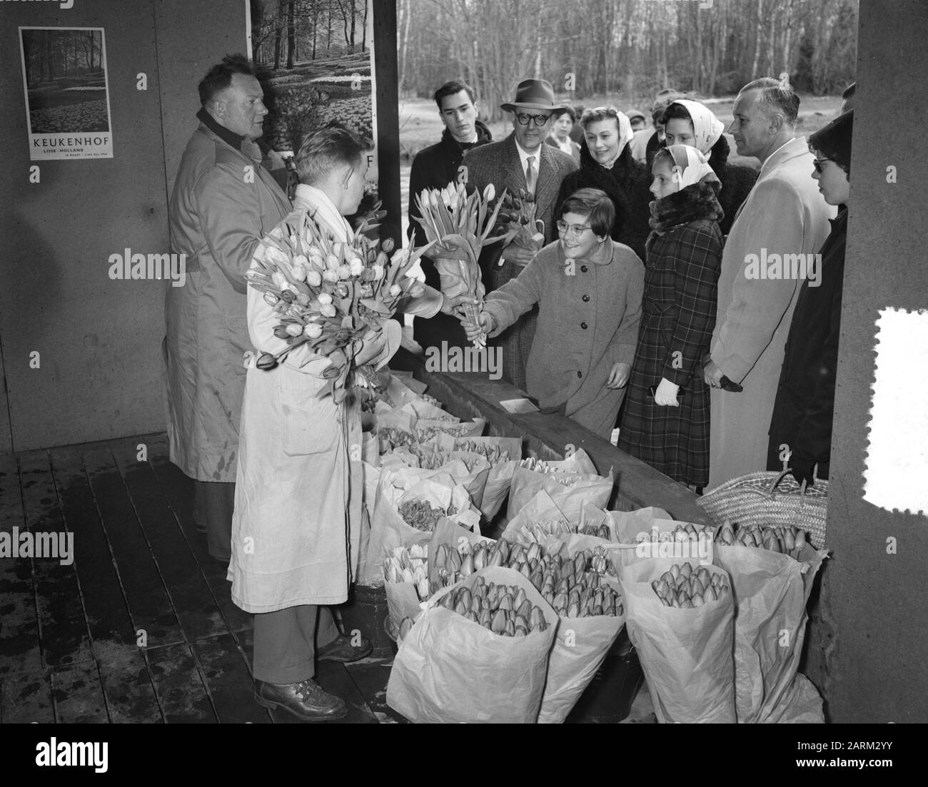 Serre de fleurs Banque d'images noir et blanc - Alamy