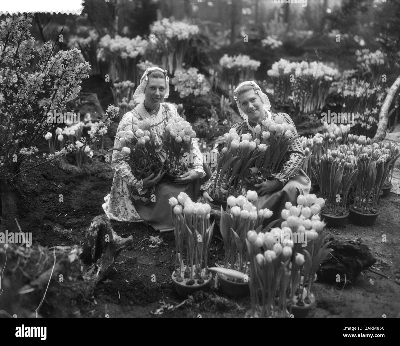 Frisian costume Banque de photographies et d’images à haute résolution ...