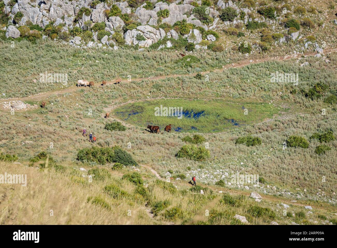 Riserva monte cofano trapani Banque de photographies et d’images à ...