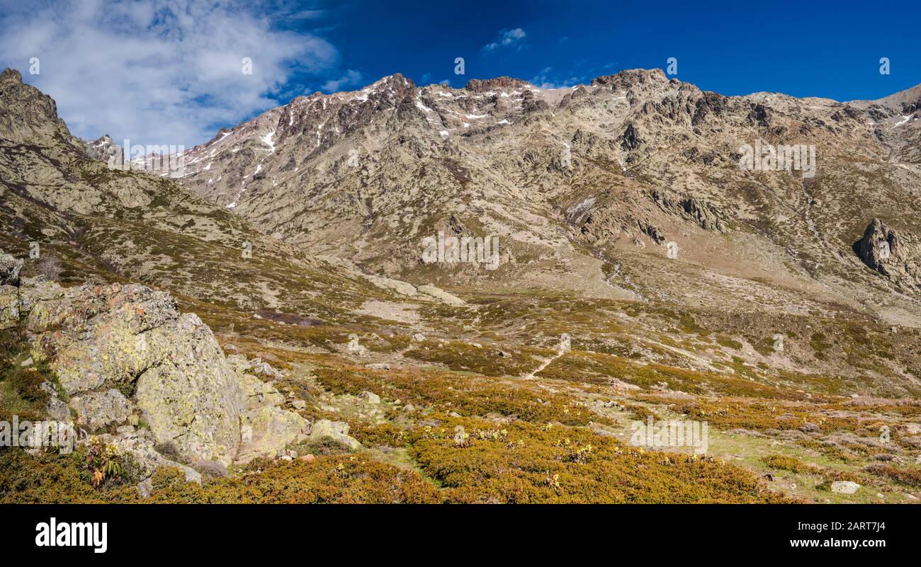 Capo terri corscia Banque de photographies et d’images à haute résolution - Alamy