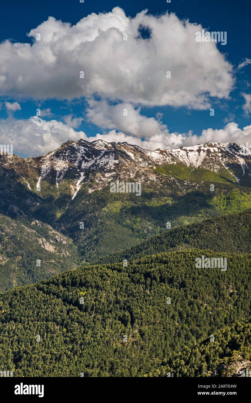Ghisoni village Banque de photographies et d’images à haute résolution ...