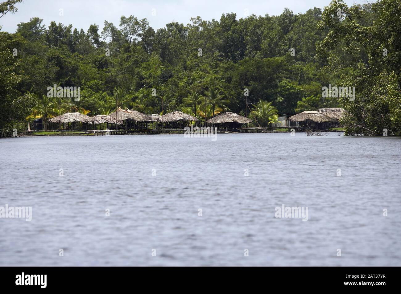 Waraos village Banque de photographies et d’images à haute résolution ...