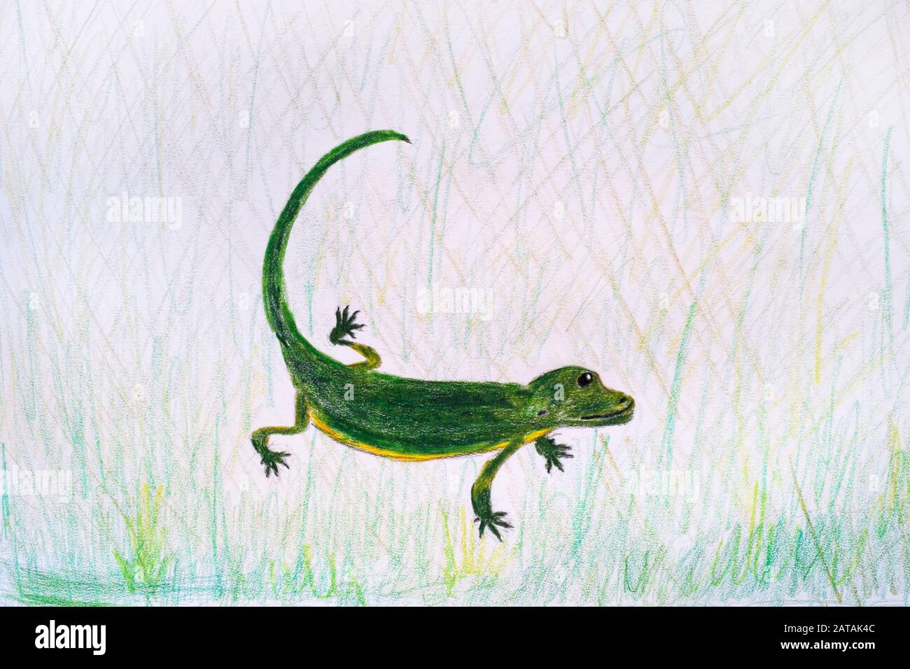 Peinture de reptiles Banque de photographies et d’images à haute résolution - Alamy
