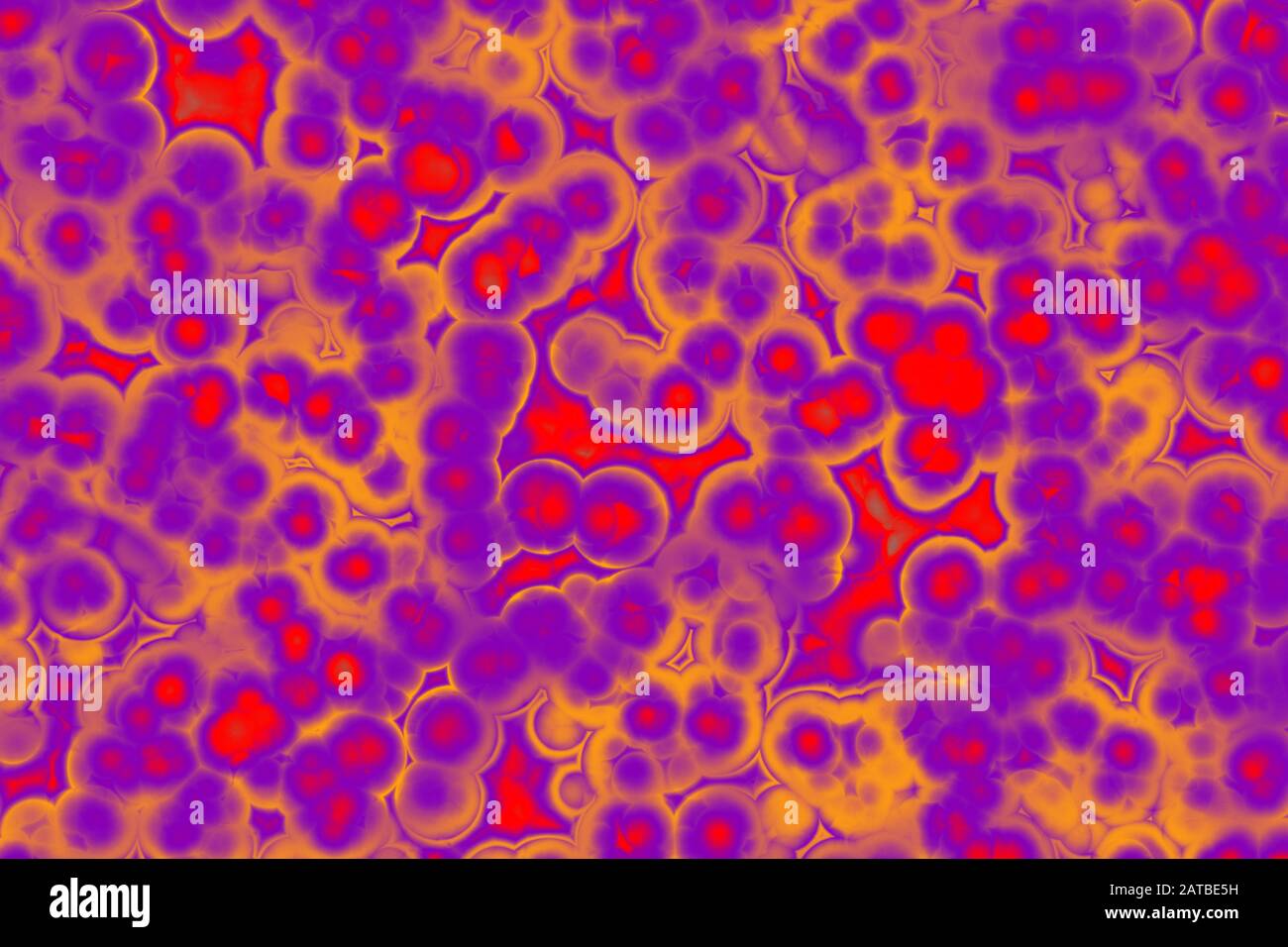 Bactérie spirille Banque de photographies et d’images à haute ...