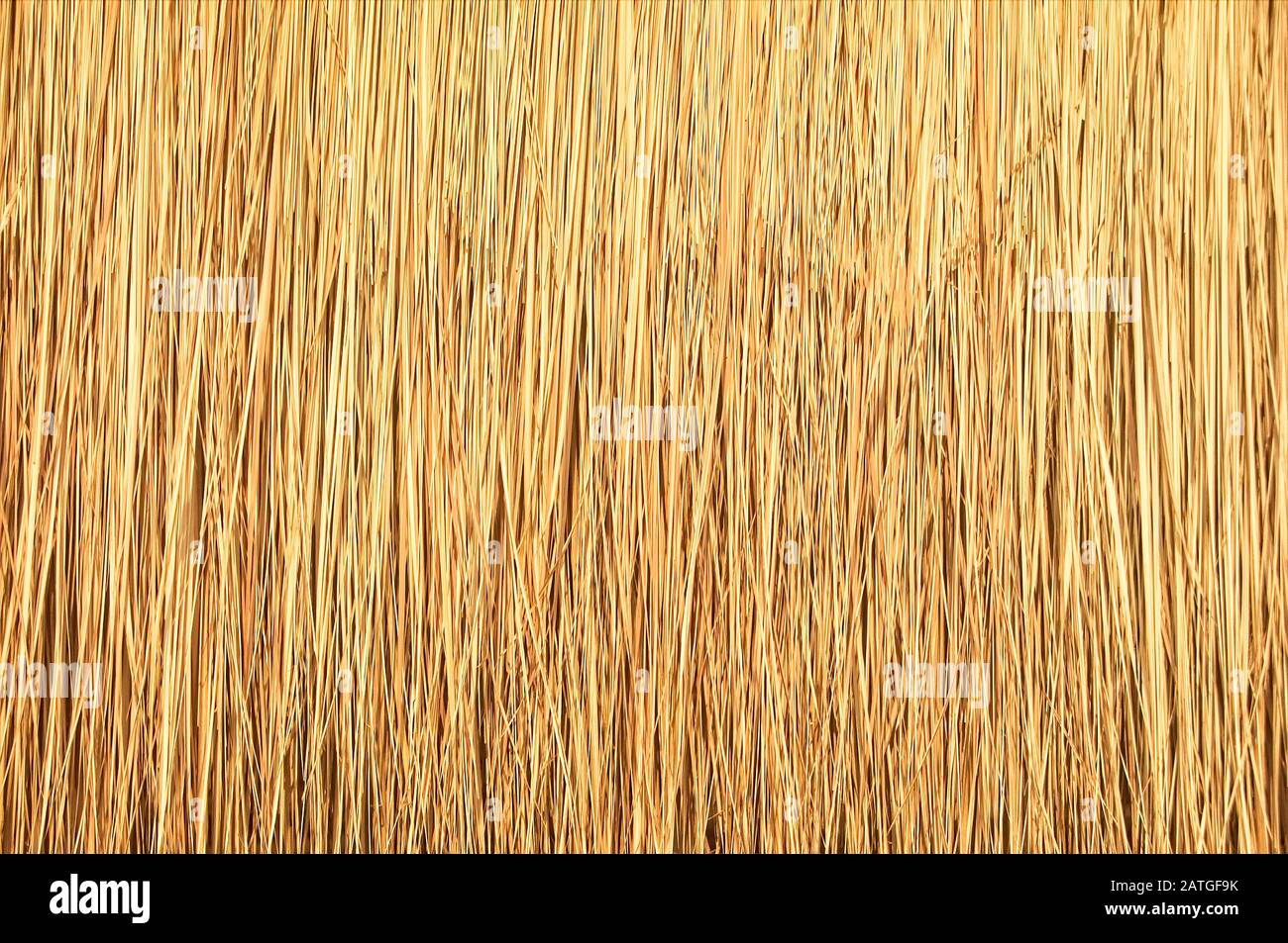 Texture de chaume Banque de photographies et d’images à haute ...