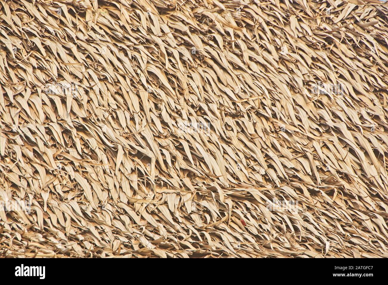 Texture de chaume Banque de photographies et d’images à haute ...