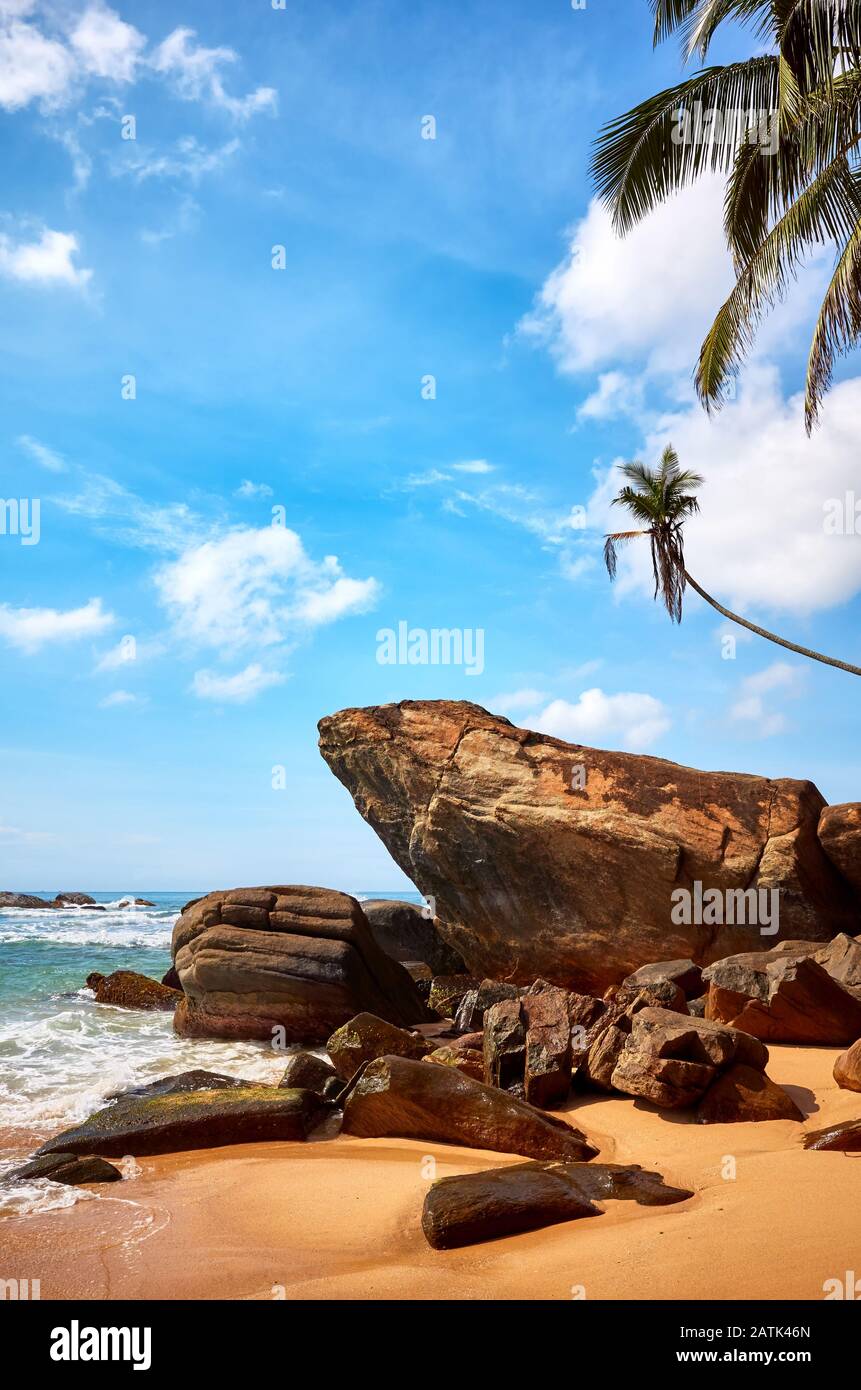 Rochers sur la plage de palmiers Banque de photographies et d’images à ...