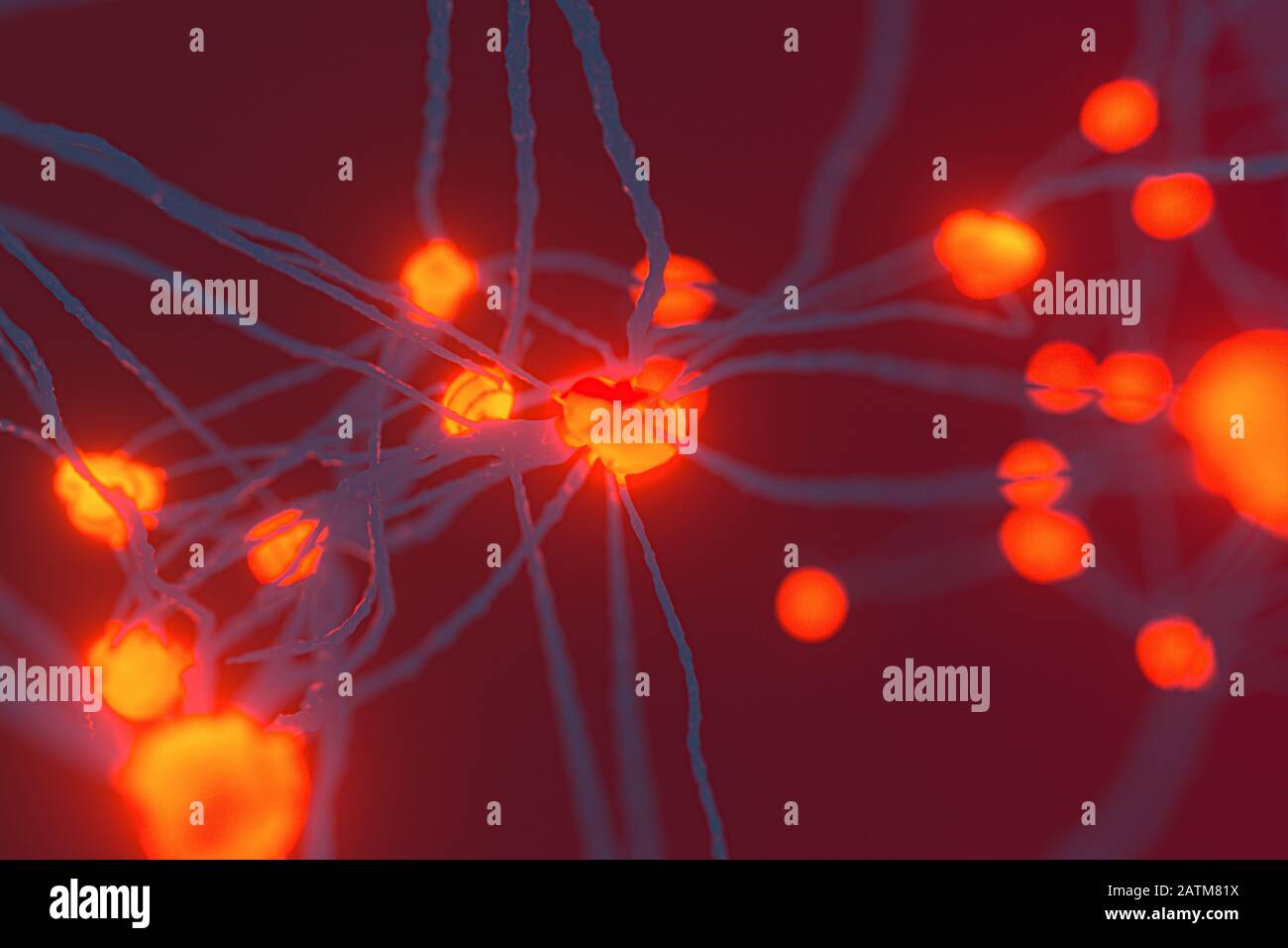 Psychiatrie biologique Banque de photographies et d’images à haute ...