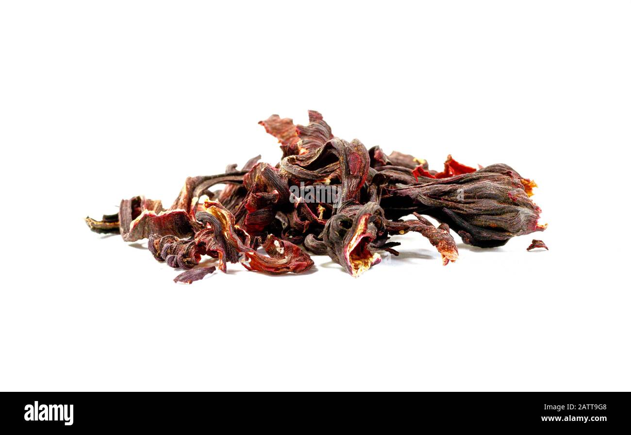 Hibiscus sabdariffa l Banque de photographies et d’images à haute ...