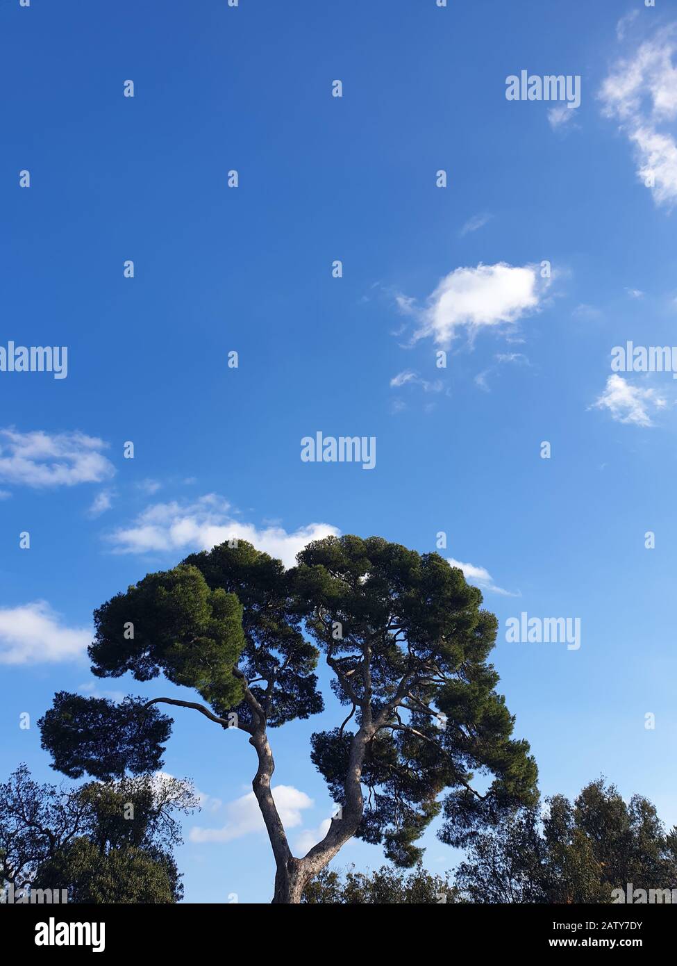 French flair Banque de photographies et d’images à haute résolution - Alamy