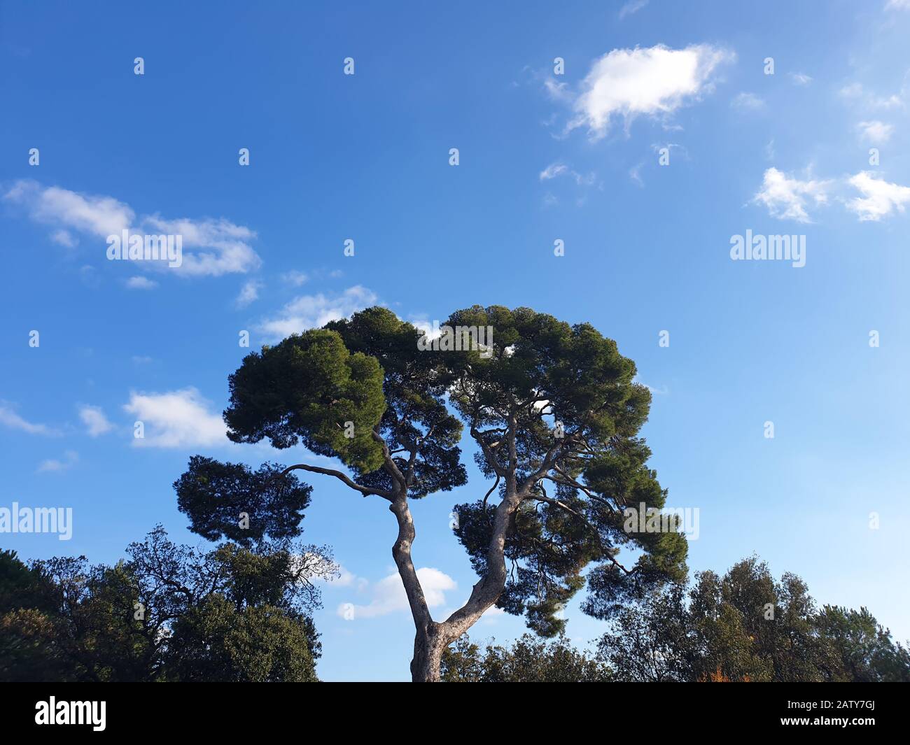 French flair Banque de photographies et d’images à haute résolution - Alamy