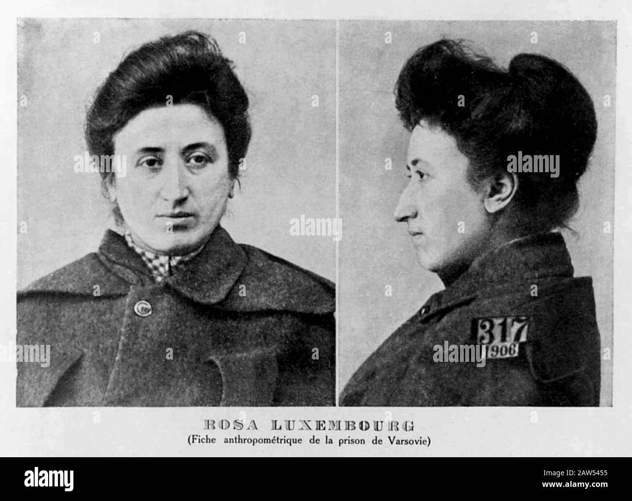Portrait de rosa luxemburg Banque de photographies et d’images à haute ...