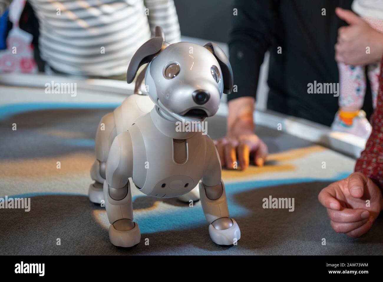 Shenzhen, Chine, Avril 2019. Robot AIBO exposé à Sony Expo 2019. AIBO (aibo stylisé, robot d ...