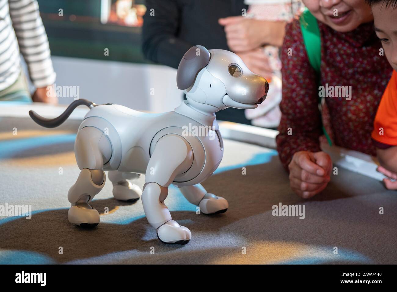 Shenzhen, Chine, Avril 2019. Robot AIBO exposé à Sony Expo 2019. AIBO (aibo stylisé, robot d ...