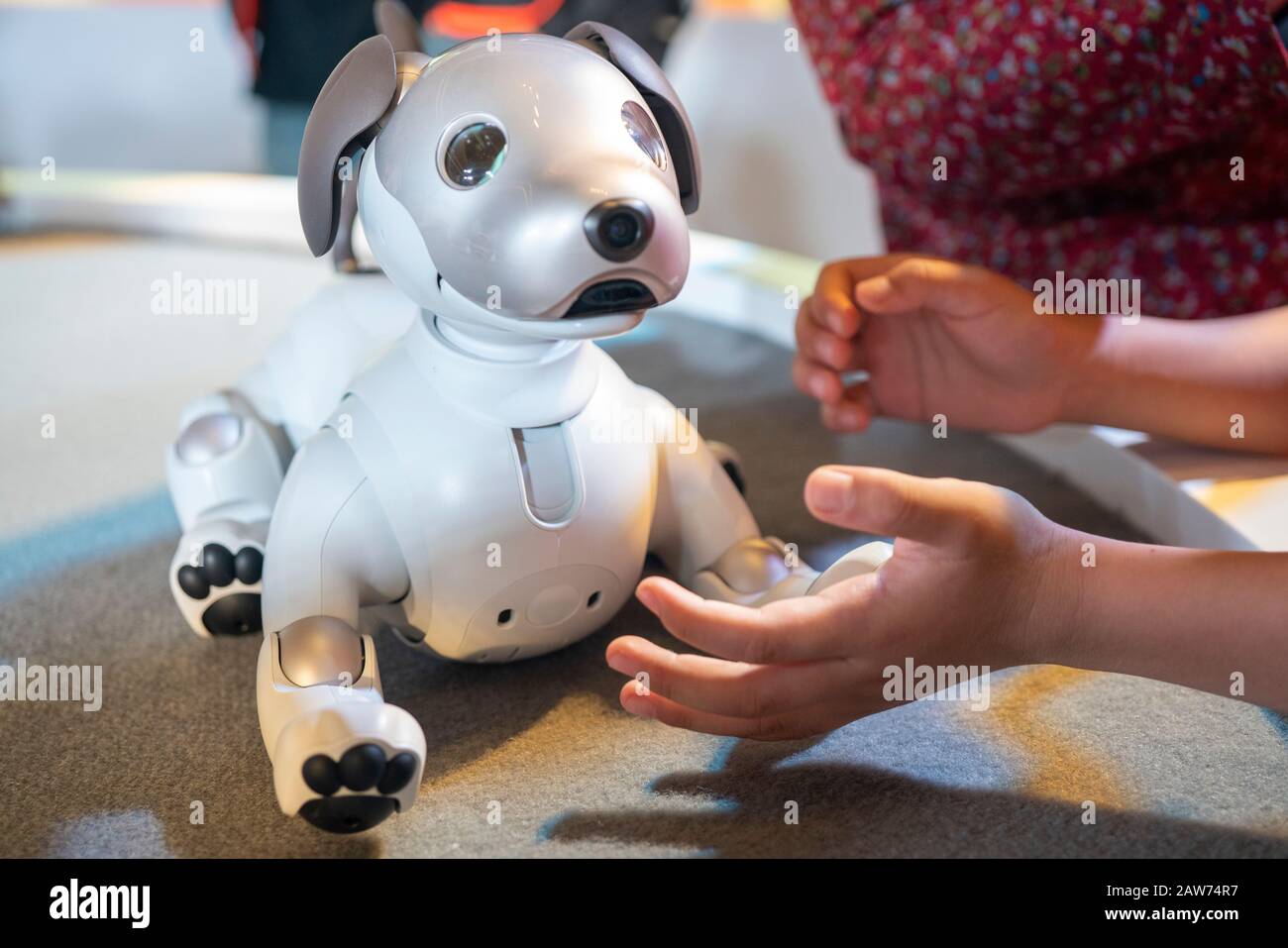 Shenzhen, Chine, Avril 2019. Robot AIBO exposé à Sony Expo 2019. AIBO (aibo stylisé, robot d ...