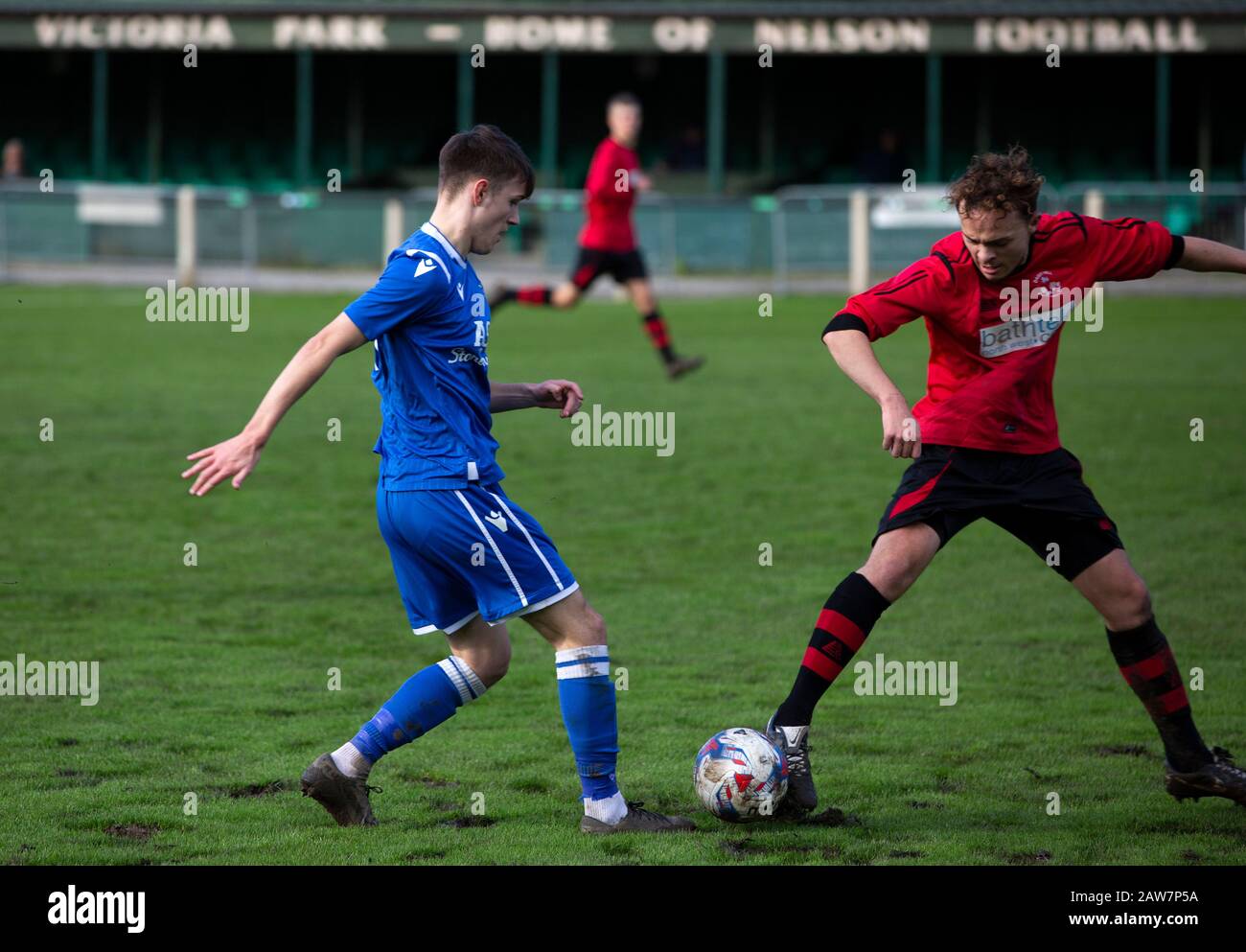 Daisy hill fc Banque de photographies et d’images à haute résolution ...