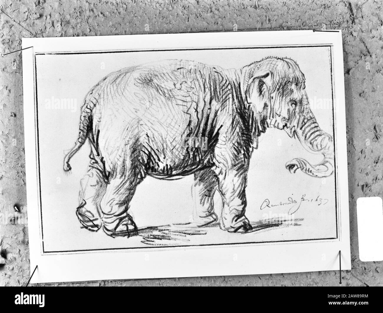 Exposition rembrandt 1669 1969 Banque de photographies et d’images à ...