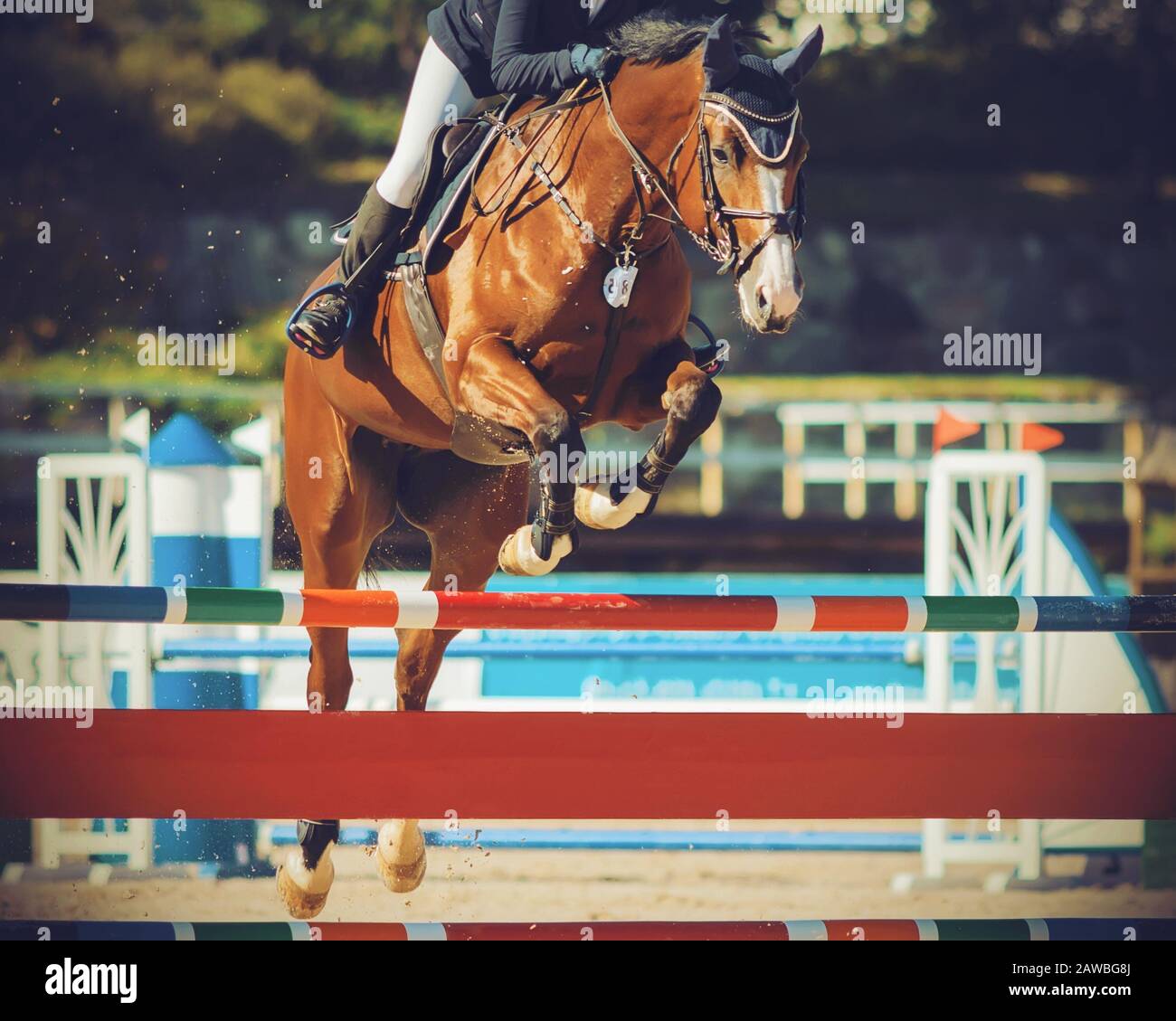 Saut Équestre Banque d'image et photos - Alamy