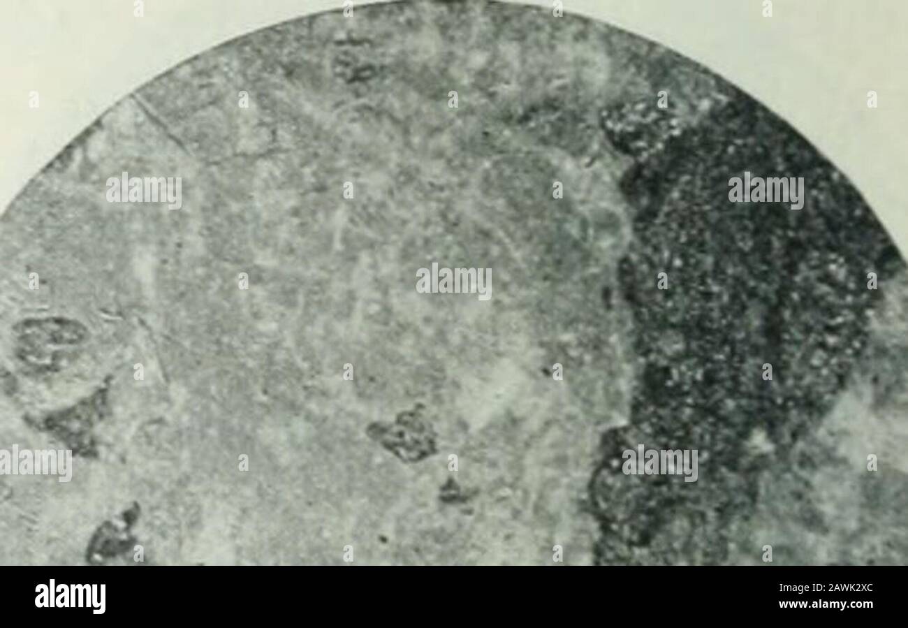 Augite microscope Banque de photographies et d’images à haute ...