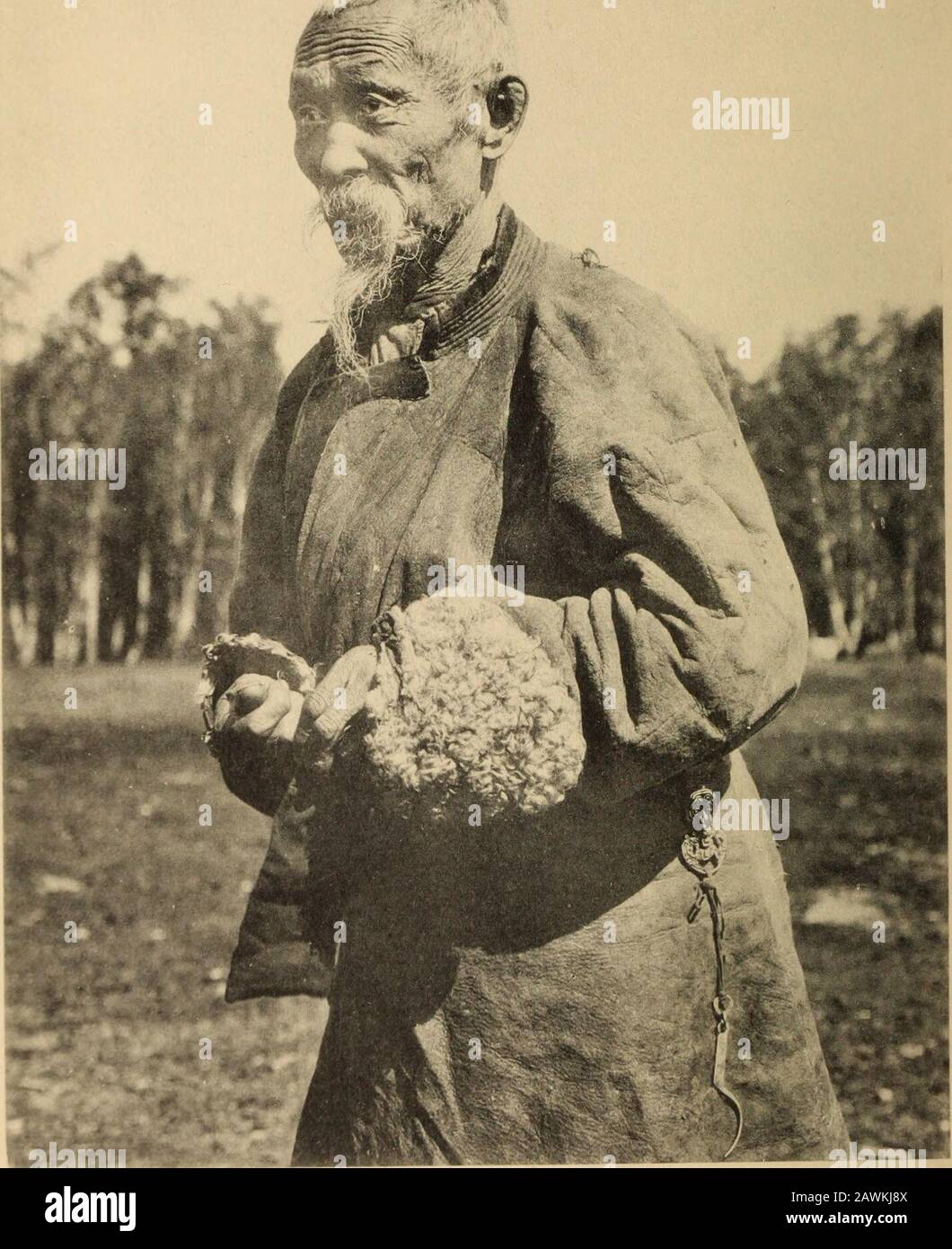 Bassin de dzungaria Banque de photographies et d’images à haute ...