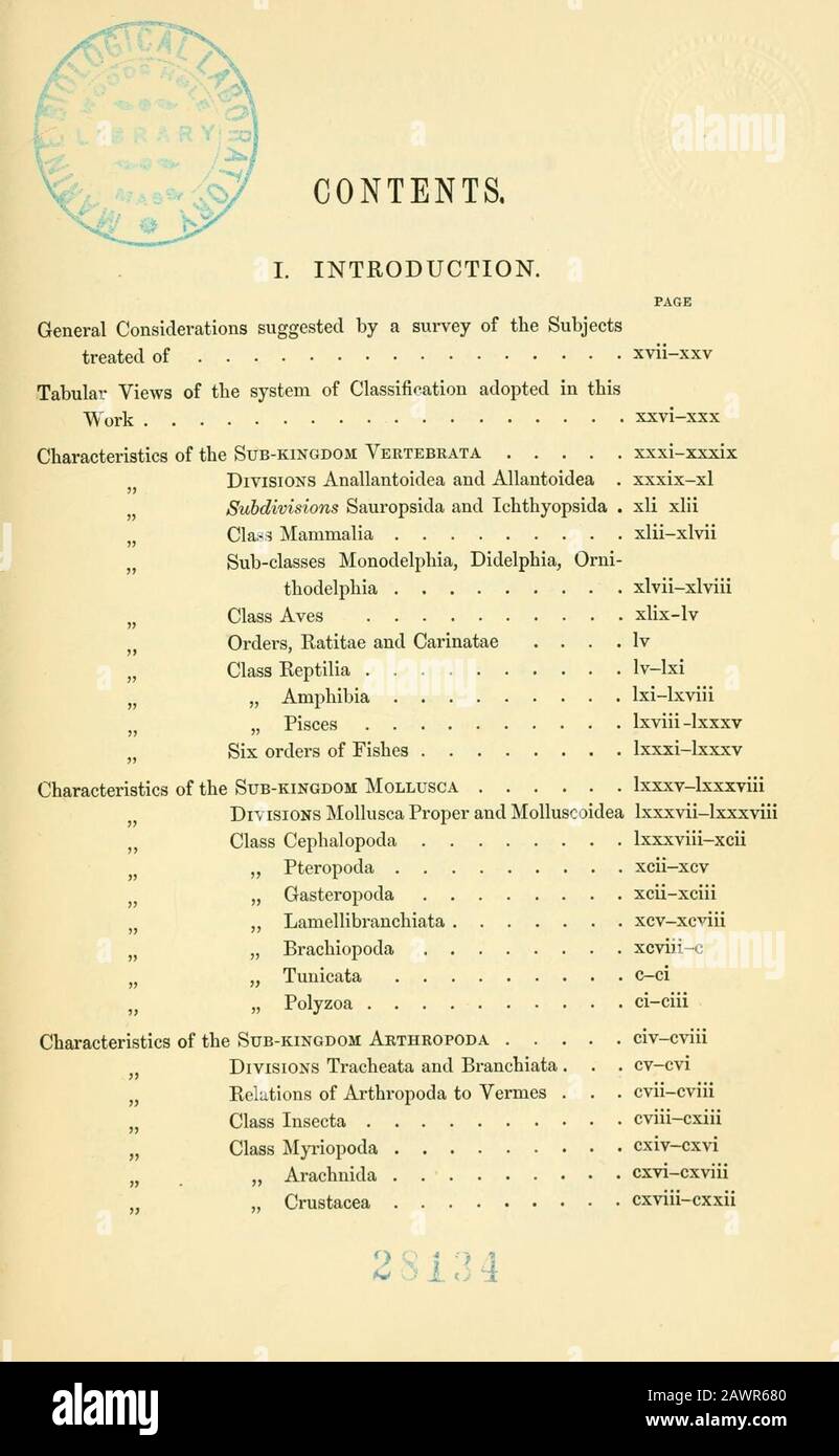 Formes animales Banque de photographies et d’images à haute résolution ...
