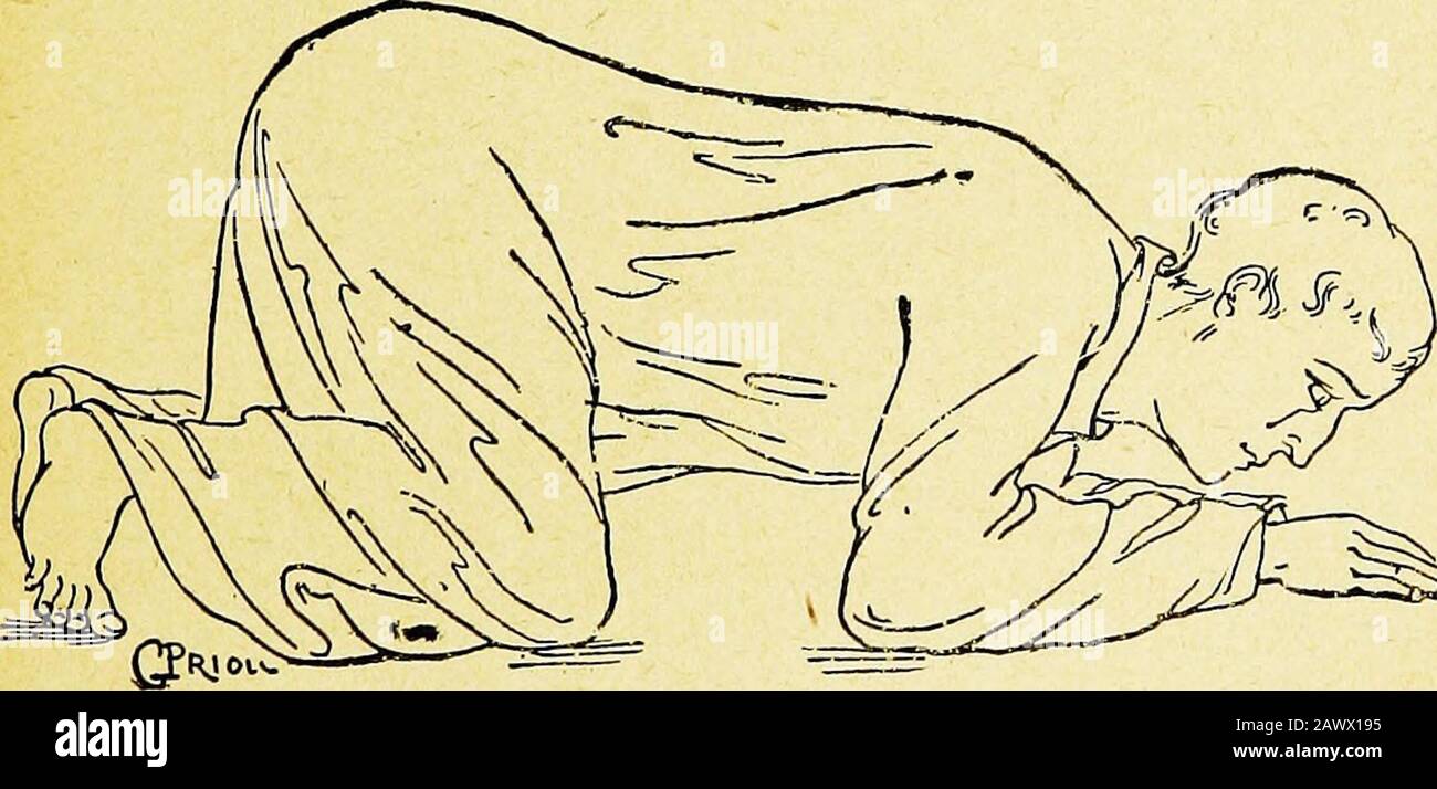 Genu pectorale Banque de photographies et d’images à haute résolution ...