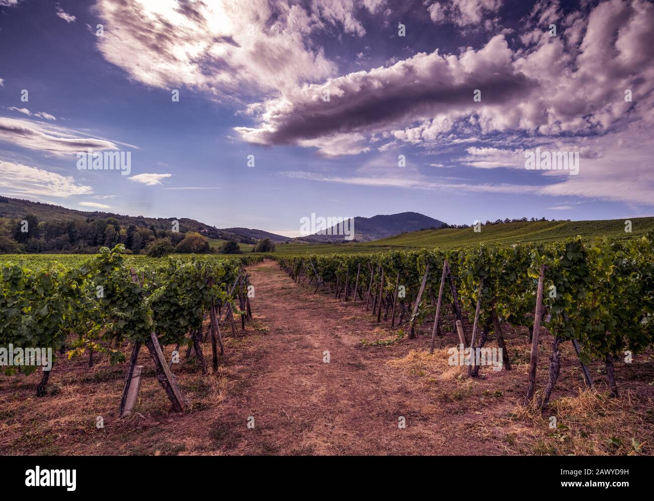 Paysage De Campagne Francaise Banque d'image et photos - Alamy