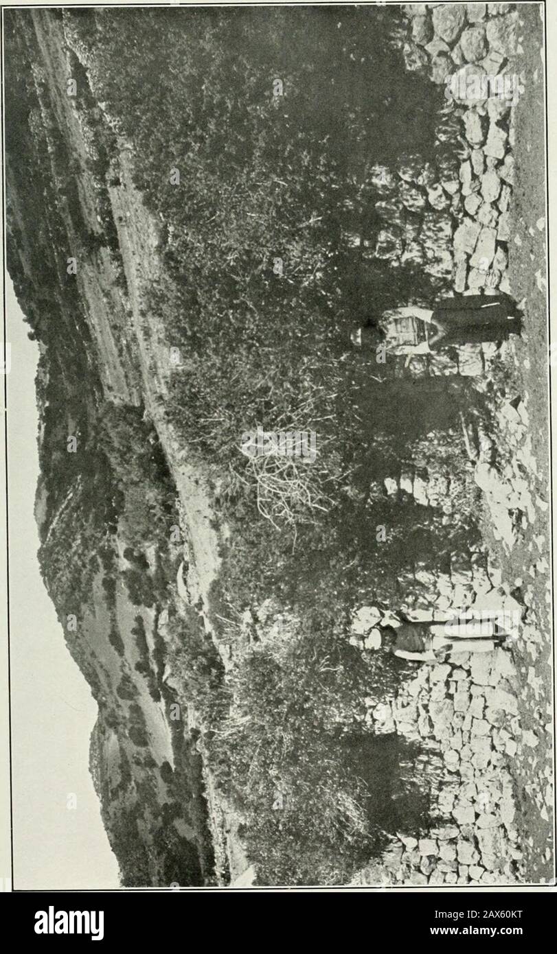 Inca irrigation channel Banque de photographies et d’images à haute ...