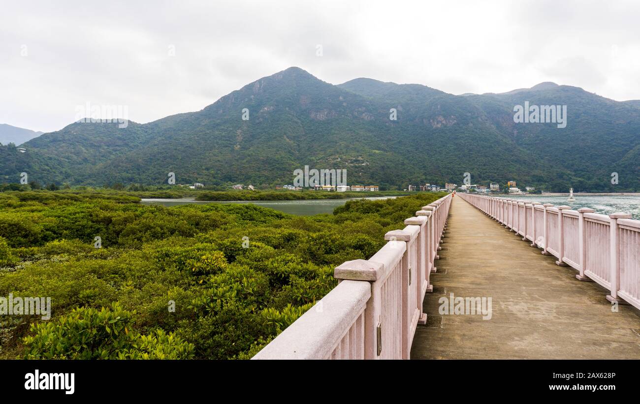 Tai o promenade Banque de photographies et d’images à haute résolution ...