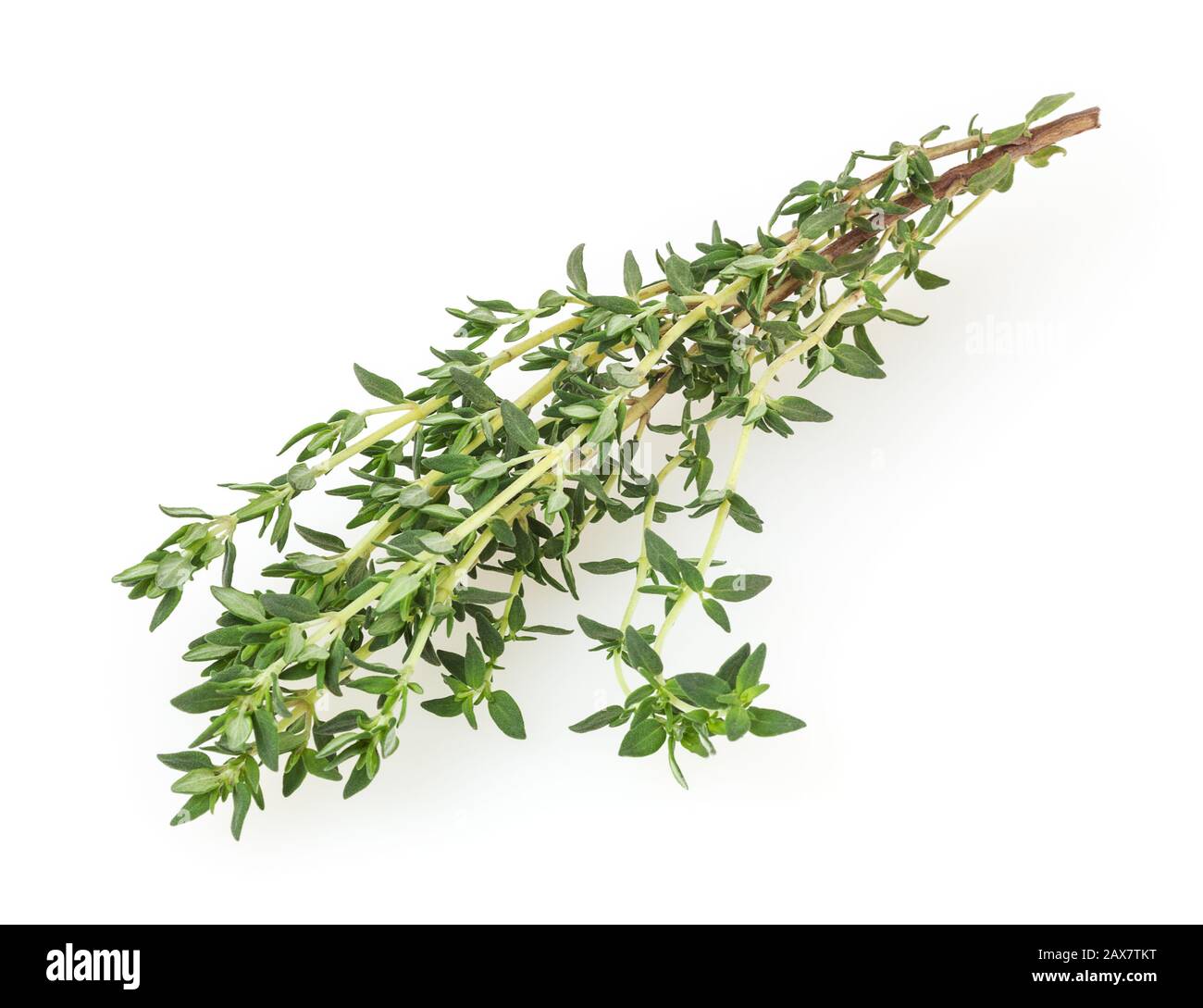 Thym frais Banque de photographies et d’images à haute résolution - Alamy