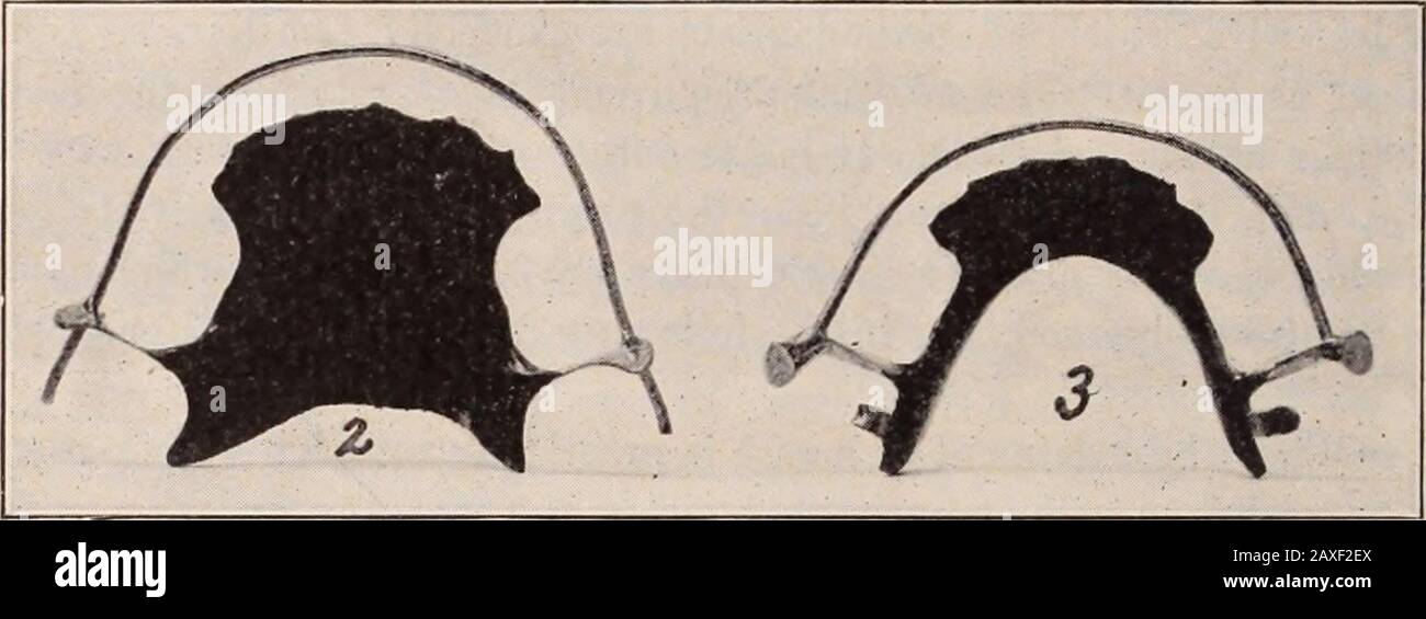 Labial plate Banque de photographies et d’images à haute résolution - Alamy